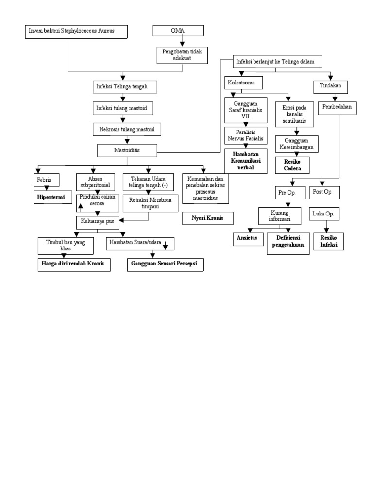 Pathway Mastoid It Is SGD 8 | PDF