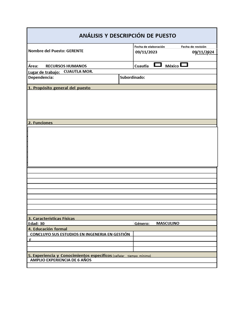 Formato de ANÁLISIS Y DESCRIPCIÓN DE PUESTO | PDF
