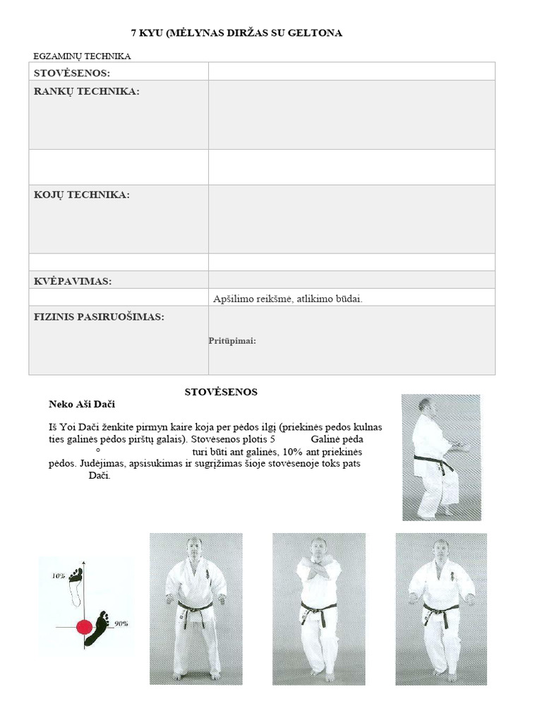 7 Kyu Technika | PDF