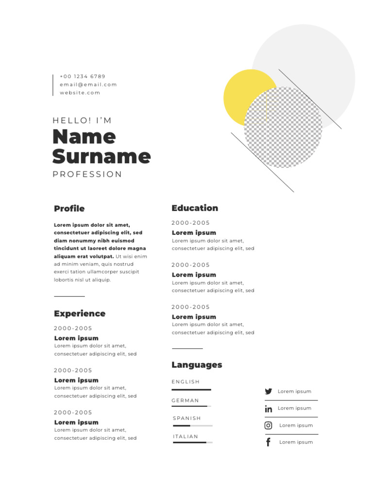 Professional Profile and Experience | PDF