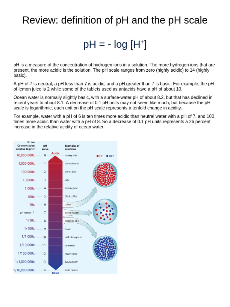 Review PH Scale For 20241127 | PDF