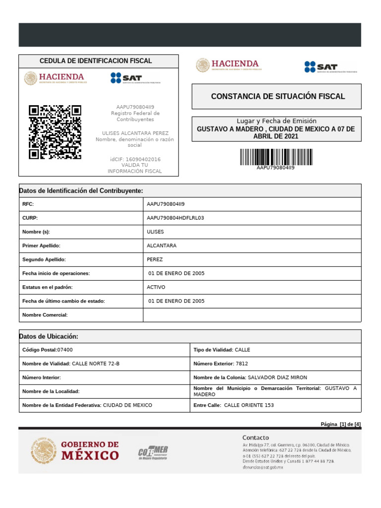 Constancia De Situación Fiscal Pdf