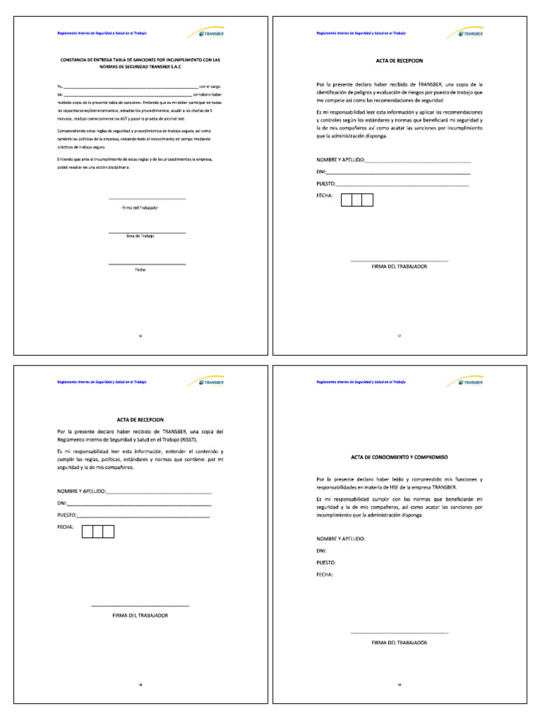 4.Acta de Recepcion RISST | PDF