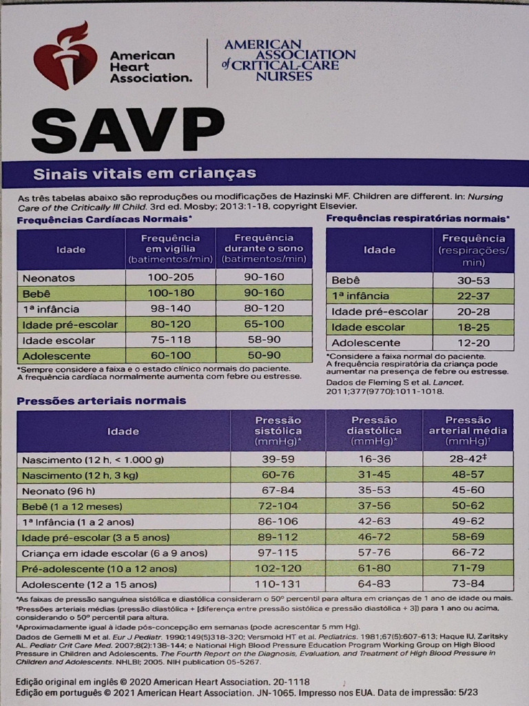 Savp Resumo | PDF