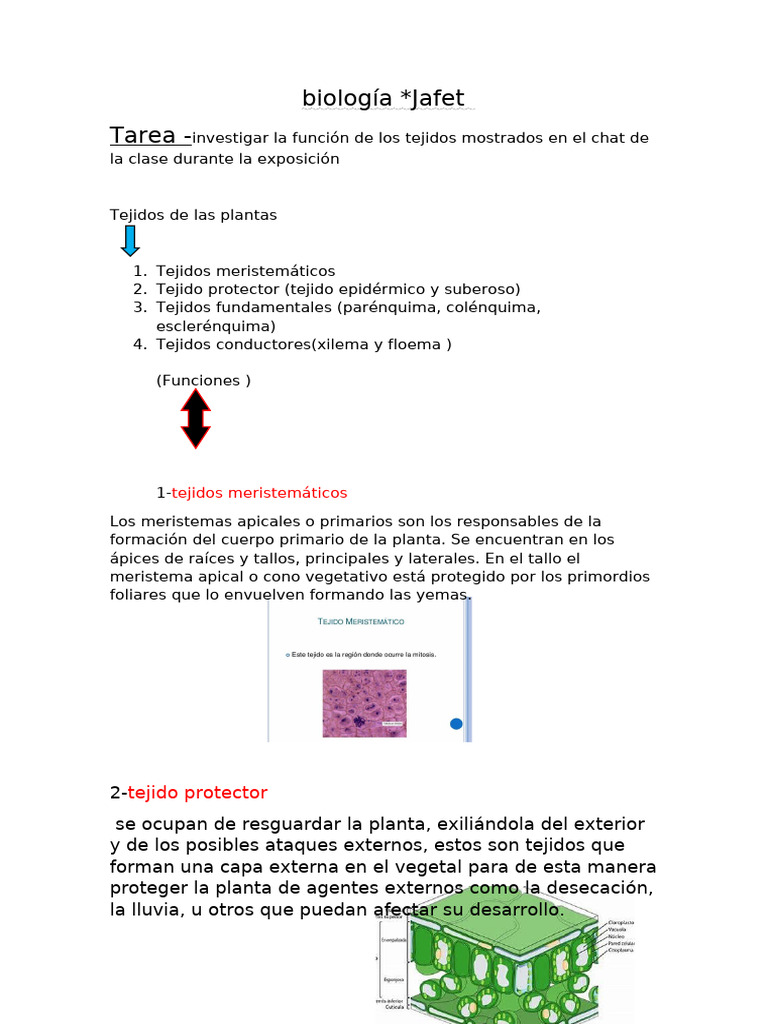 Biologia Jafet | PDF | Tallo de la planta | Raíz