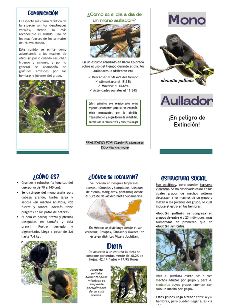Cómo es el día a día de un mono aullador | PDF | Zoología