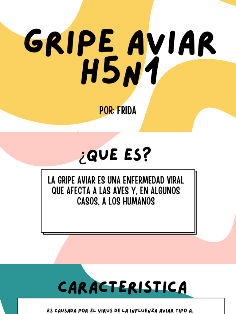 Gripe Aviar H5N1: Síntomas y Tratamiento | PDF | Influenza aviar ...
