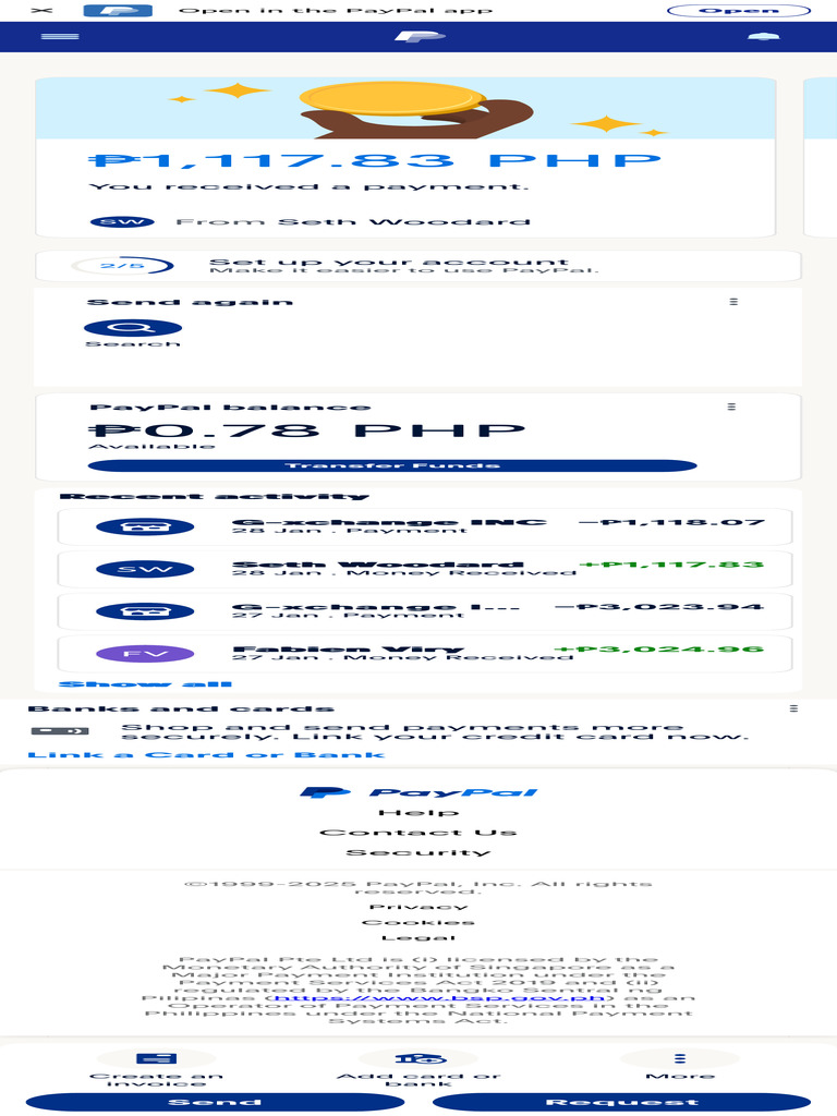 PayPal Summary | PDF