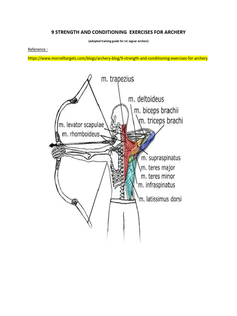 Strength Training for Archery | PDF