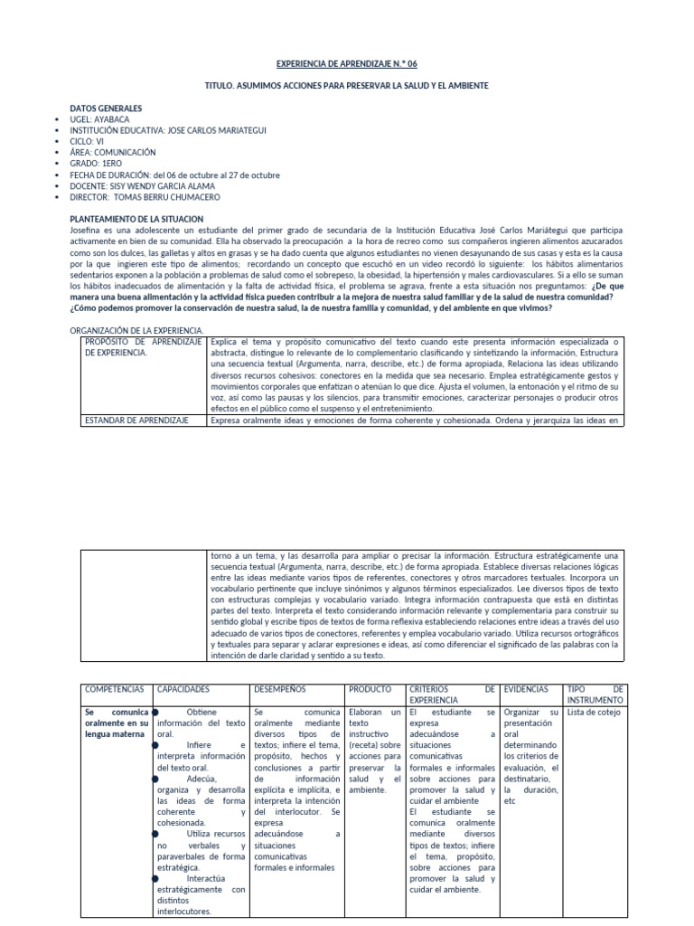 EXPERIENCIA DE APRENDIZAJE 06 | PDF | Aprendizaje | Léxico
