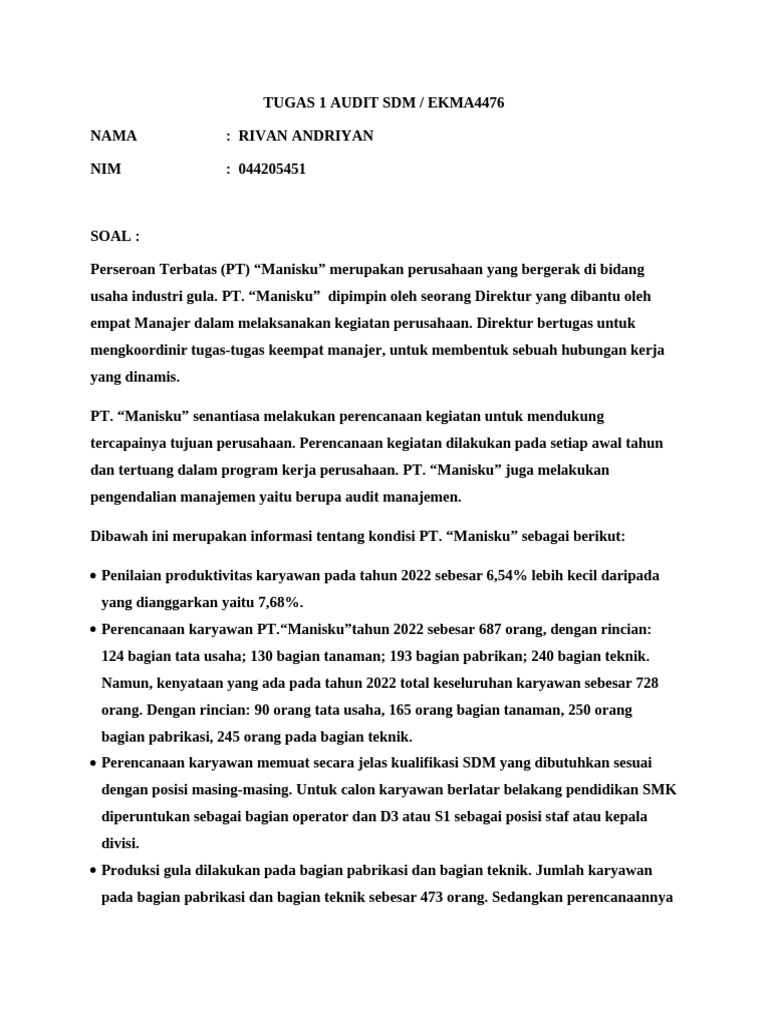Tugas 1 Audit SDM Rivan | PDF