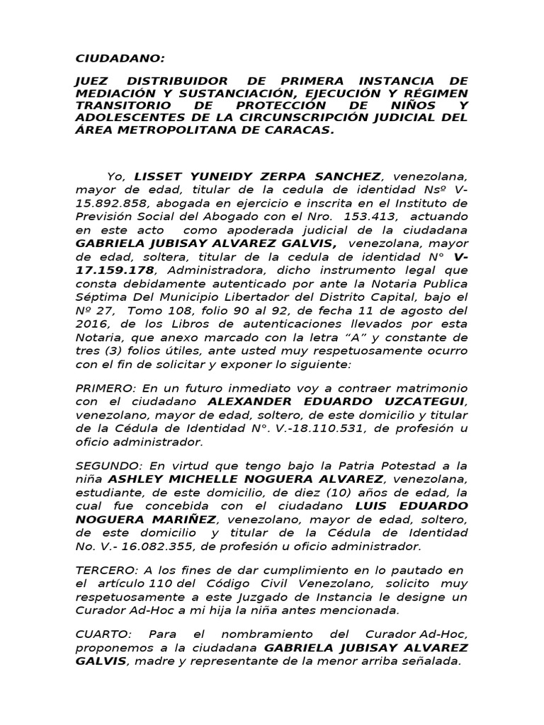 Curatela de Gabriela Definitiva | PDF