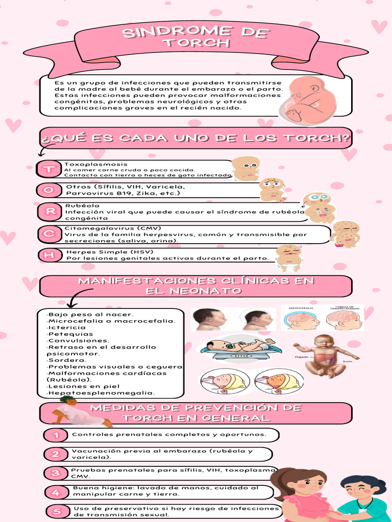 Infecciones TORCH en el embarazo | PDF