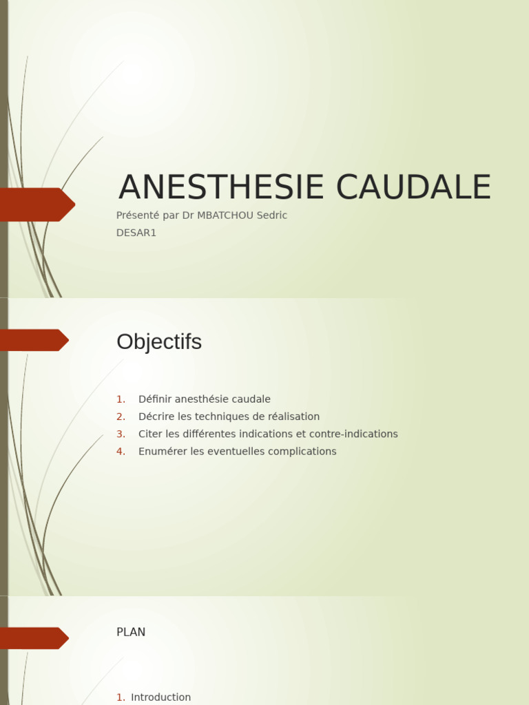 ANESTHESIE CAUDALE | PDF