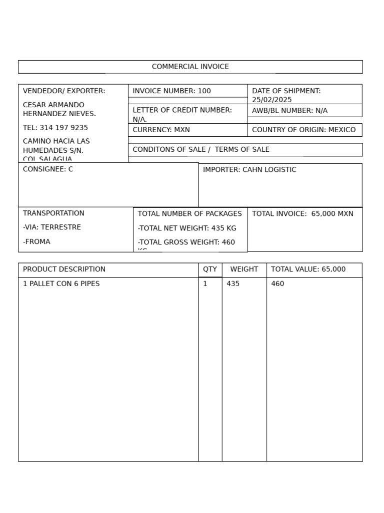 Commercial Invoice Template Example | PDF