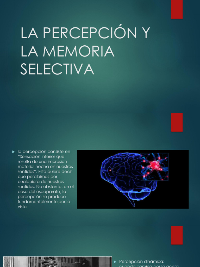 La Percepción y La Memoria Selectiva | PDF | Percepción | Memoria