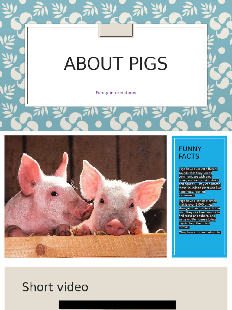 About Pigs | PDF