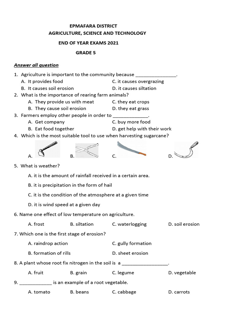 Grade 5 Agriculture Exam 2021 | PDF | Plant Nutrition | Agriculture