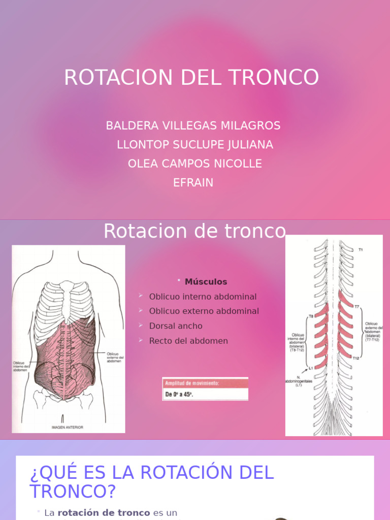 Rotación del Tronco: Anatomía y Movimiento | PDF