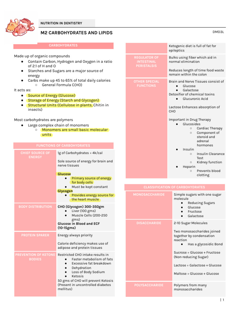 Carbs, Lipids, Protein, and Water | PDF | Carbohydrates | Fat