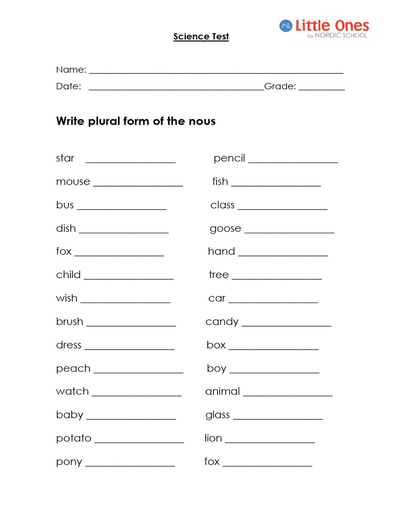 Plural Nouns Practice Test | PDF