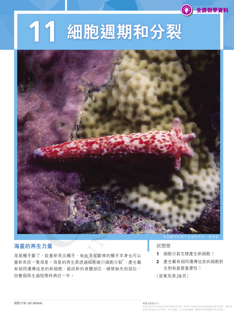 NSSBIO3E SB2 Ch11 C | PDF