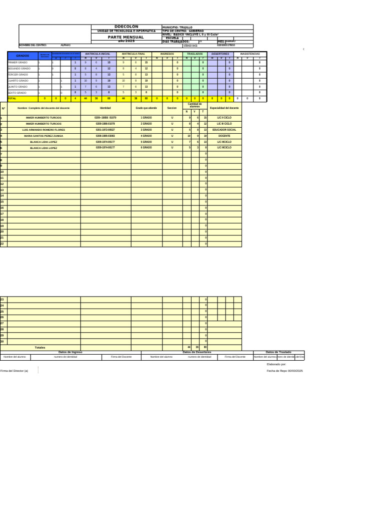 Formato Parte Mensual (Basica) 2025.alpha1 | PDF
