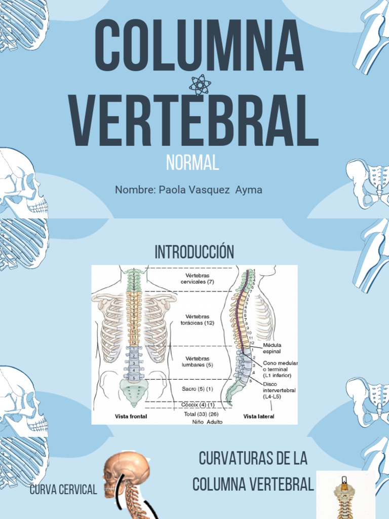 Presentación Diapositivas Anatomía Cuerpo Humano Ilustrativo Simple ...