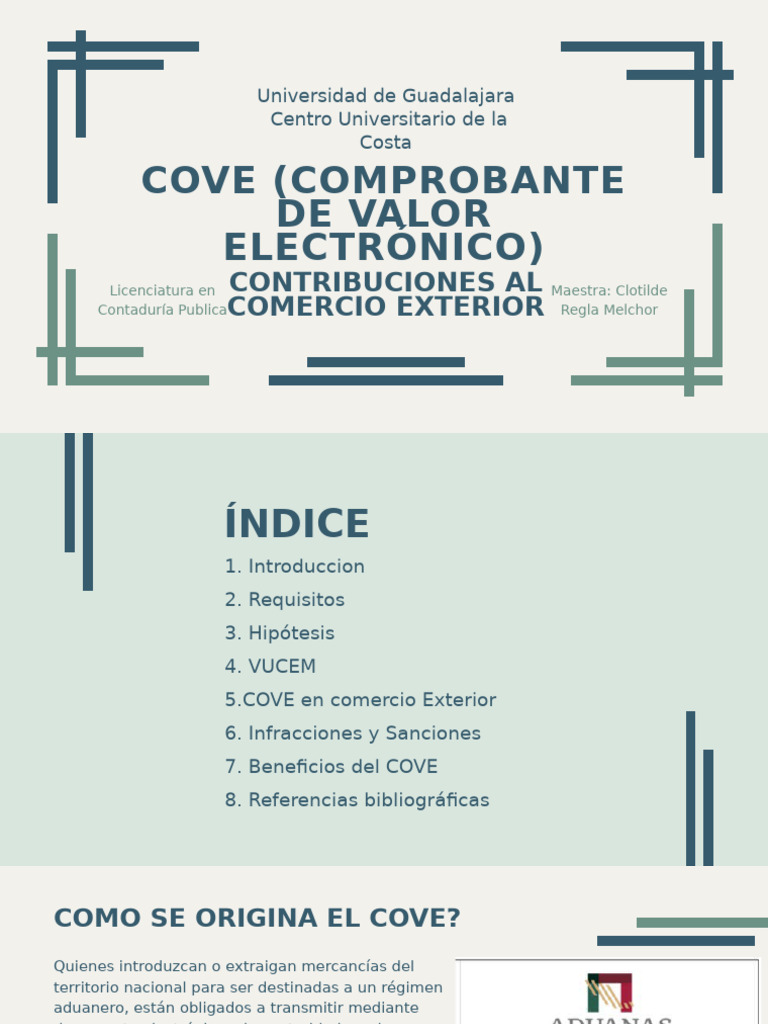 COVE: Comprobante en Comercio Exterior | PDF