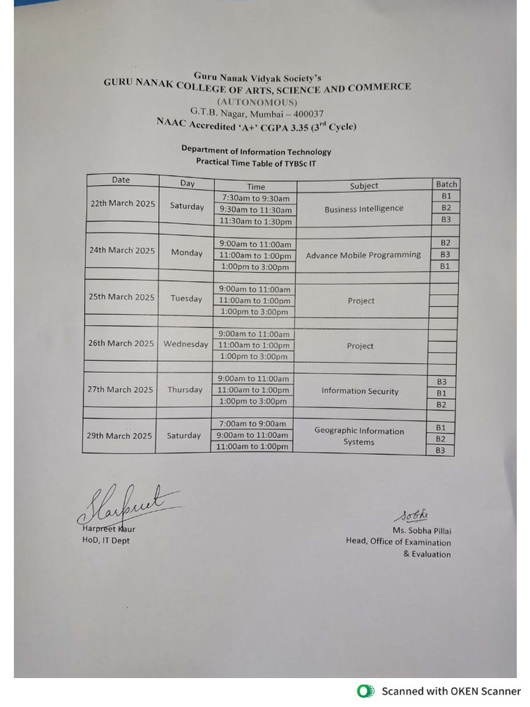 TYBSc Sem 6 Practical Time Table | PDF