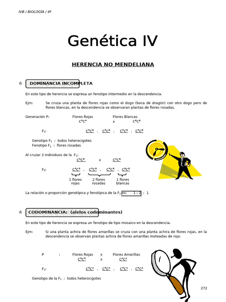 IV Bim - 4to. Año - Bio - Guía 4 - Genética IV | PDF | Alelo | Dominancia (Genética)