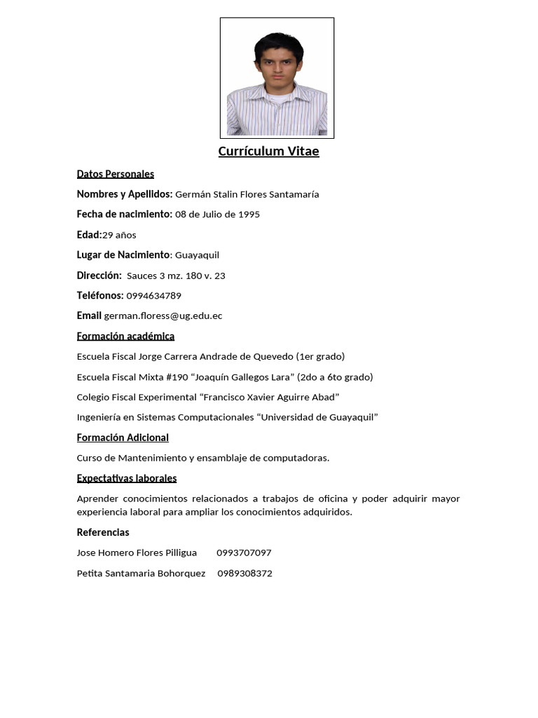 German Flores CV | PDF