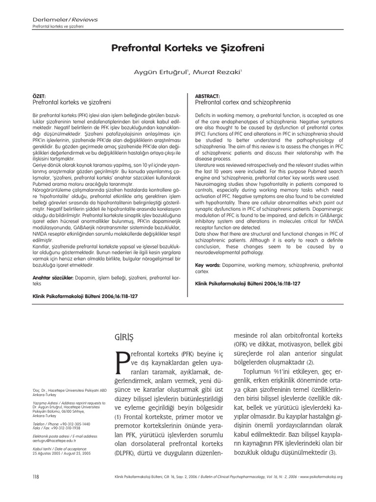Prefrontal Korteks Ve Fiizofreni: G R Fi | PDF