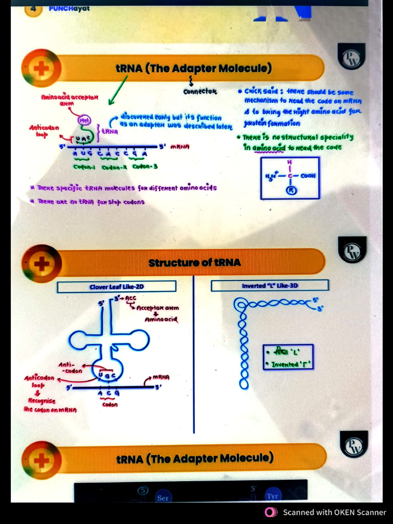 T Rna Invert | PDF