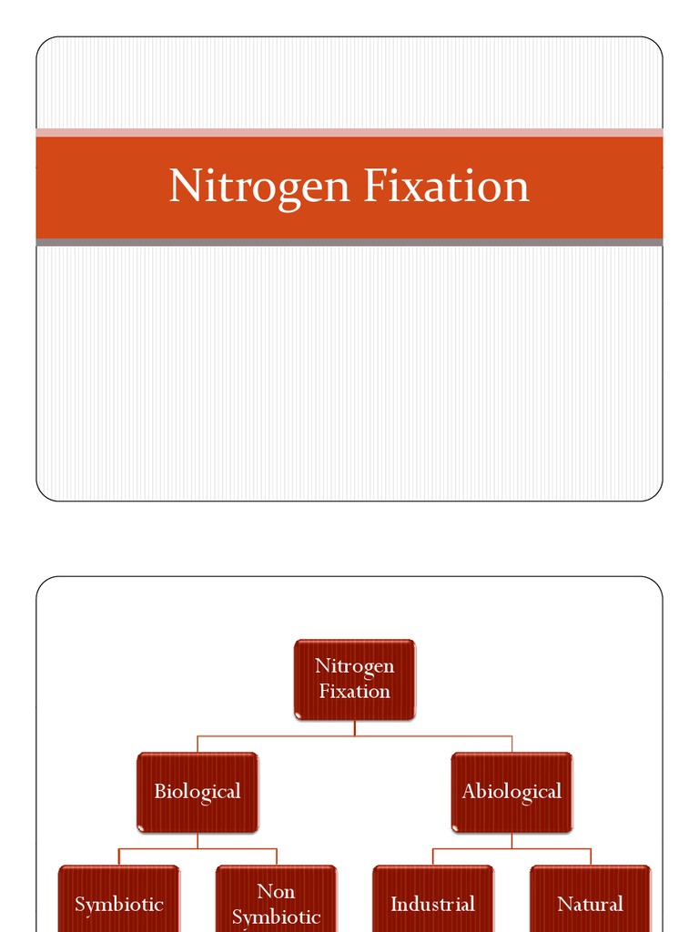 Biological Nitrogen Fixation Overview | PDF