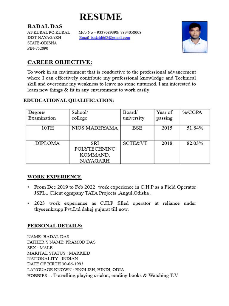 Badal CV | PDF