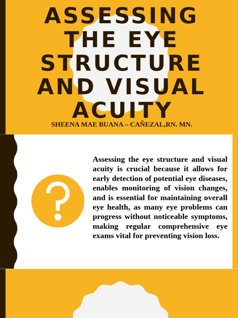 Assessing the Eye Structure and Visual Acuity (Student) | PDF | Visual Acuity | Eye