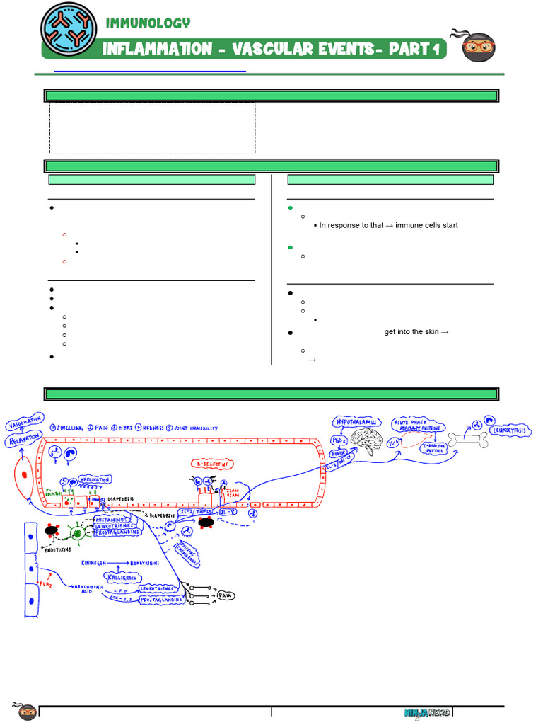 Inflammation and Vascular Events Overview | PDF | Inflammation | Antigen