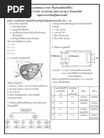 TEDET2567 Science G6 | PDF