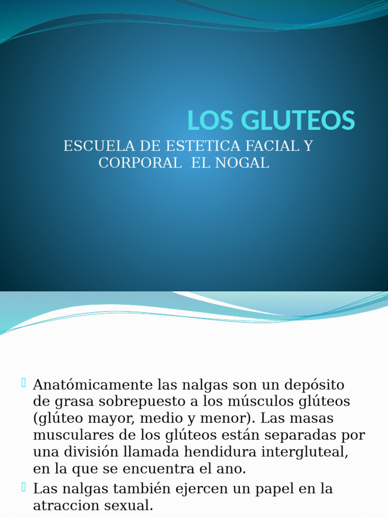 Los Gluteos | PDF | Nalgas | Extremidades (anatomía)