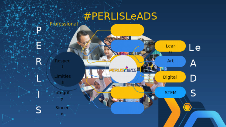 Professional Development in STEM | PDF