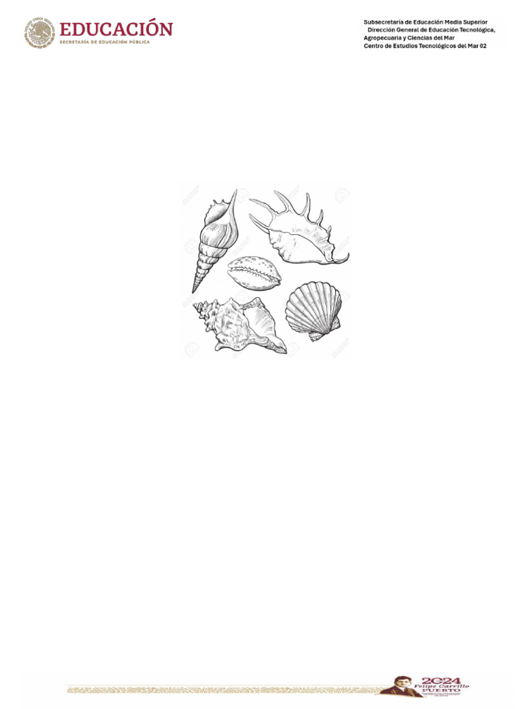 Manual Practicas Taller Modulo Iv-2024 | PDF | Bivalvia | ostra
