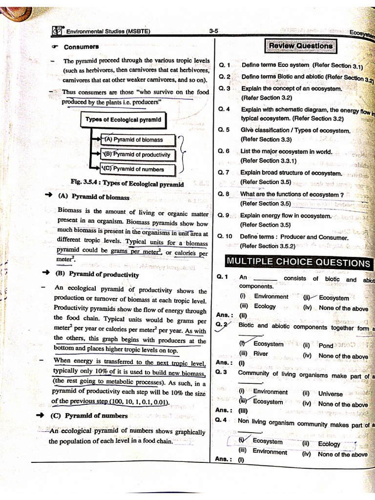 Est 4 Assignment | PDF