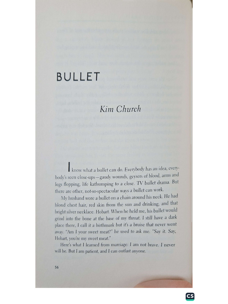 Bullet by Kim Church | PDF