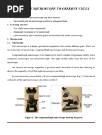 Practical 1.2: Preparing A Slide of Human Cheek Cells | PDF ...