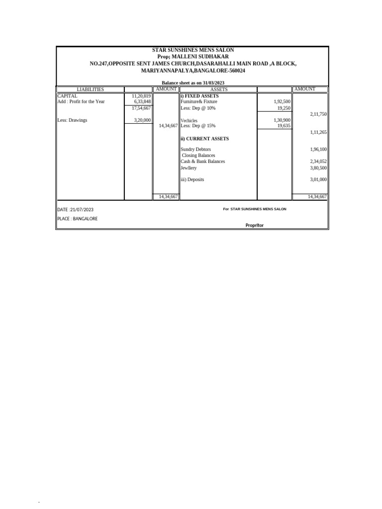 Star Sunshines Men's Salon Balance Sheet | PDF