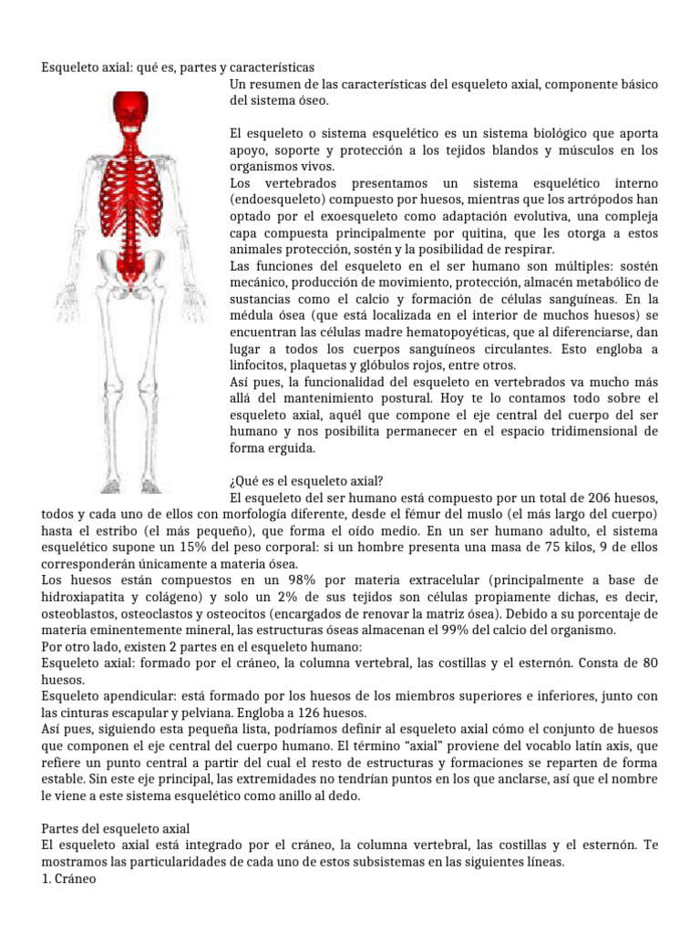 Esqueleto Axial INFORMACION | PDF | Esqueleto | Hueso