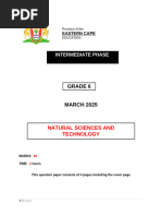 Grade 7 EMS Term 2 Test Paper | PDF | Expense | Banks