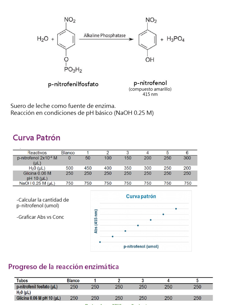 Fosfatasa Alcalina Procedimiento Parte1 | PDF | Enzima | Ph