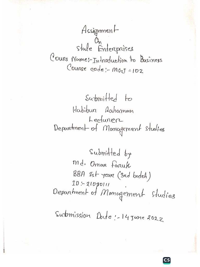 Introduction To Business 4th Assignment | PDF